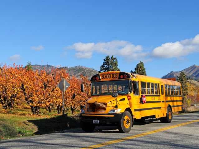 The School Bus Serves as Source of Inspiration for Poetry | School Bus ...