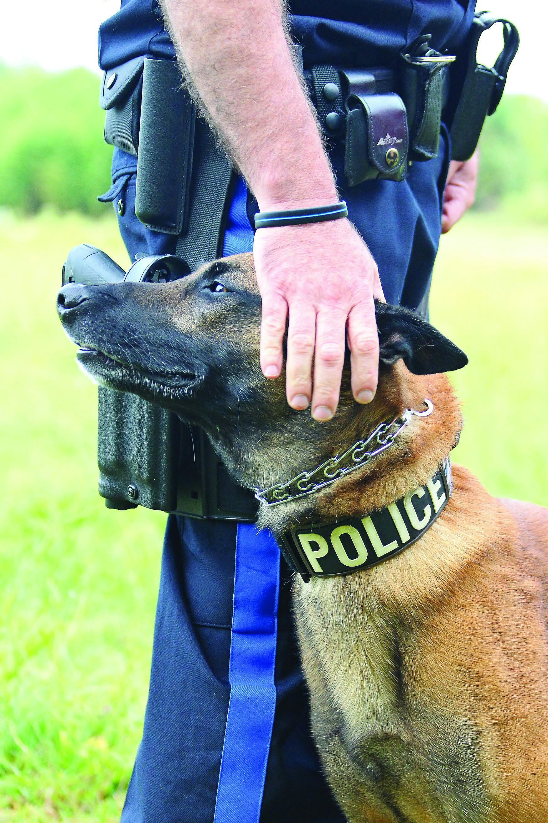 How To Retire a Police K-9 | Police Magazine
