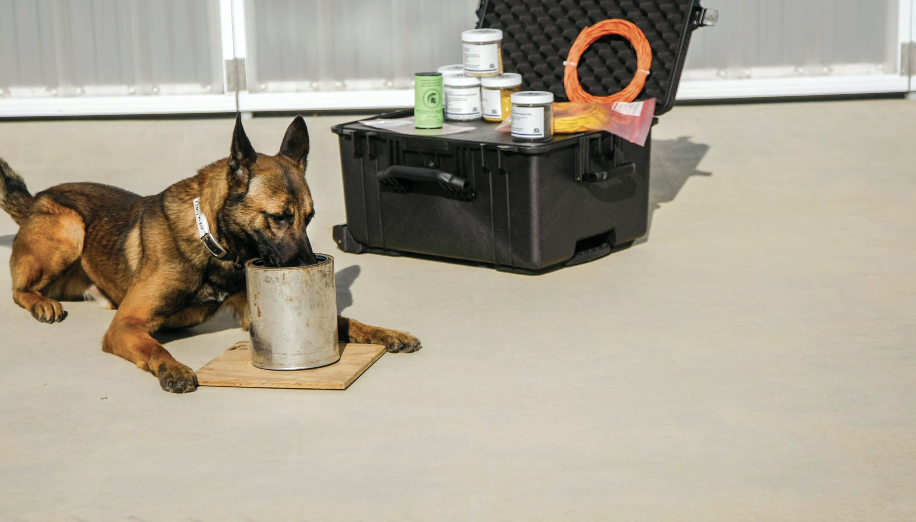 K2 Solutions: Bomb Dog Training in a Box | Police Magazine