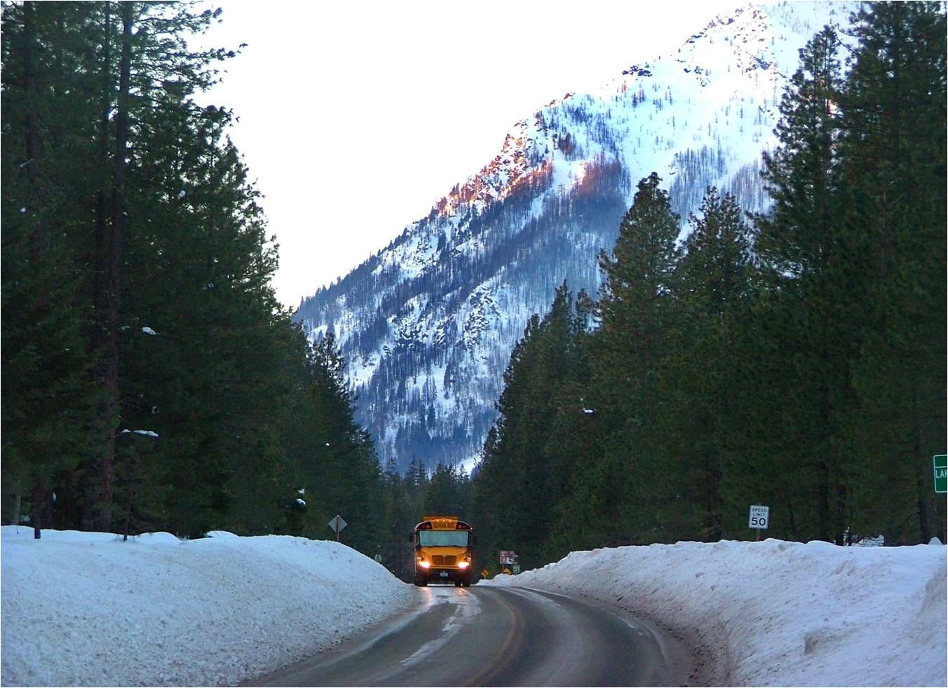 10 factors that affect vehicle dynamics | School Bus Fleet