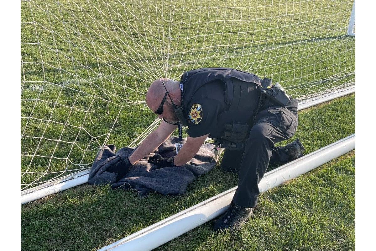 Colorado SRO Rescues Fox Tangled in School’s Soccer Net | Police Magazine